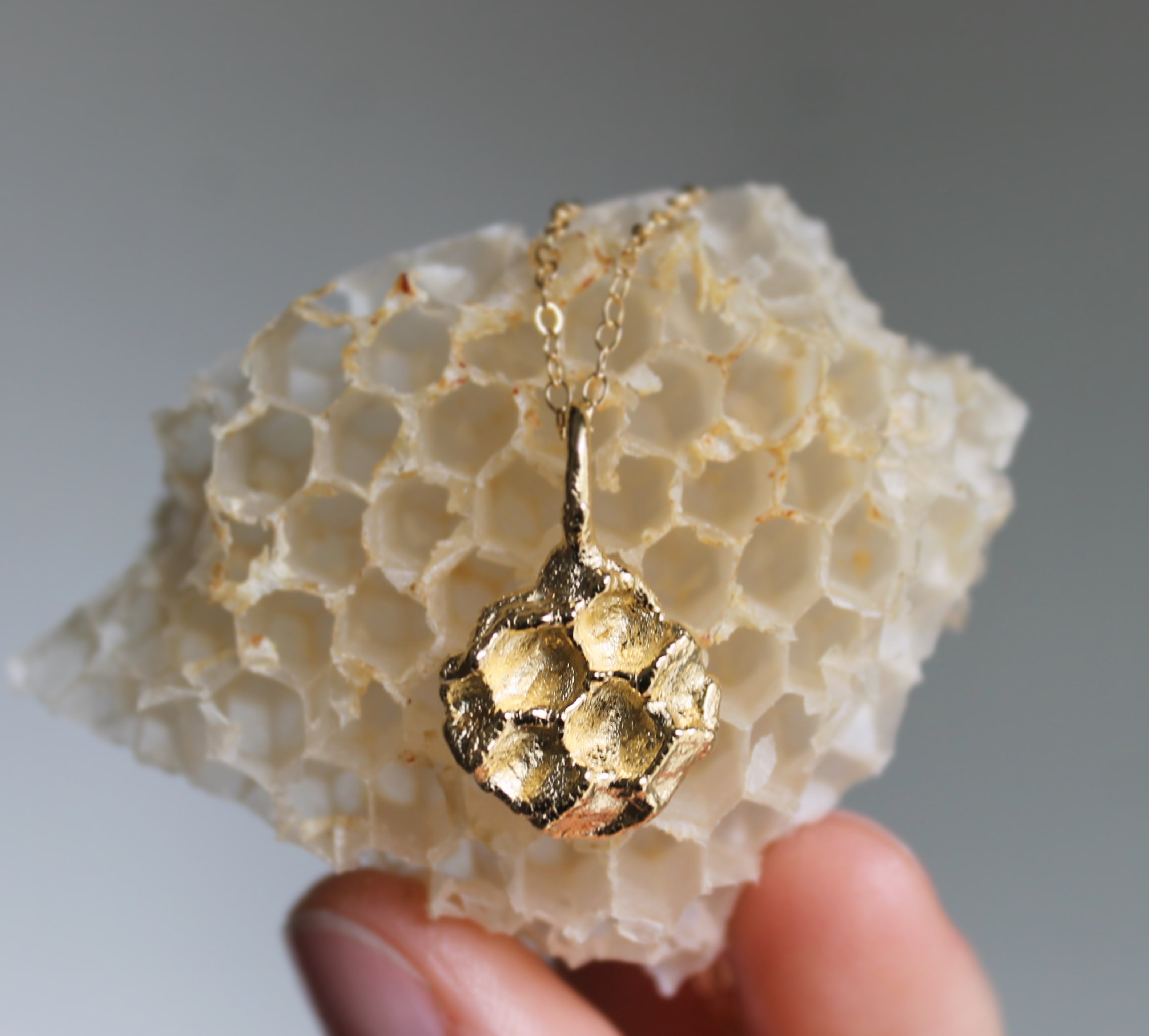 The TT Story – Turquoise Trixie